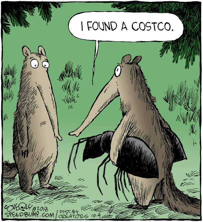 Speed Bump For Oct 04 2018 By Dave Coverly Creators Syndicate speed-bump-for-oct-04-2018-by-dave-coverly-creators-syndicate
