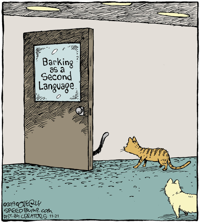 Speed Bump for Nov 21, 2019, by Dave Coverly | Creators Syndicate