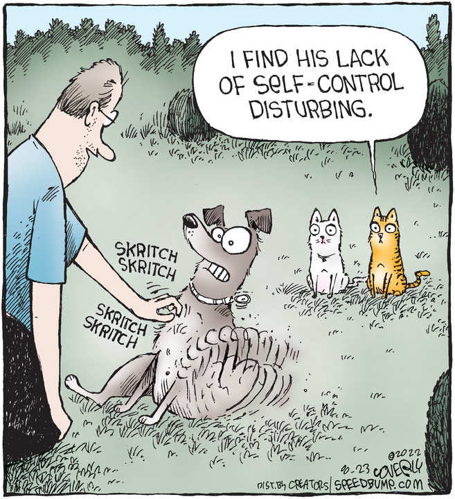 Speed Bump for Aug 23, 2022, by Dave Coverly | Creators Syndicate