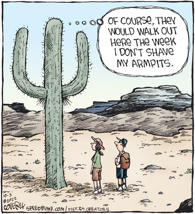 Speed Bump for Oct 03, 2022, by Dave Coverly | Creators Syndicate