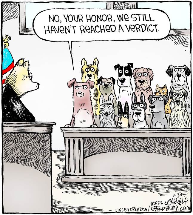 Speed Bump for Nov 24, 2022, by Dave Coverly | Creators Syndicate