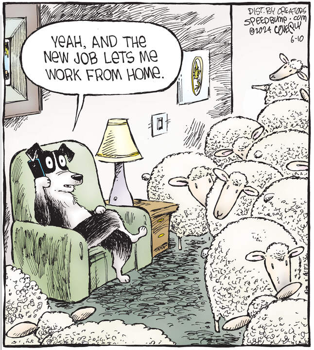 Speed Bump for Jun 10, 2024, by Dave Coverly | Creators Syndicate