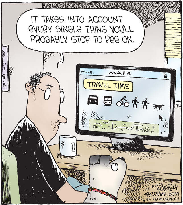 Speed Bump for Jun 24, 2024, by Dave Coverly | Creators Syndicate