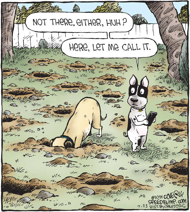 Speed Bump for Jul 23, 2024, by Dave Coverly | Creators Syndicate