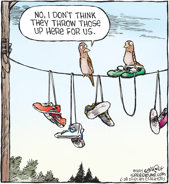 Speed Bump for Jun 28, 2025, by Dave Coverly | Creators Syndicate