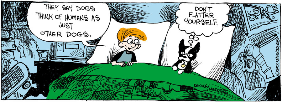 Zack Hill for May 16, 2020, by John Deering and John Newcombe ...