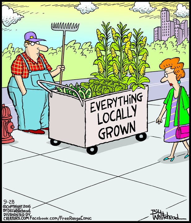 Free Range for Sep 28, 2016, by Bill Whitehead | Creators Syndicate