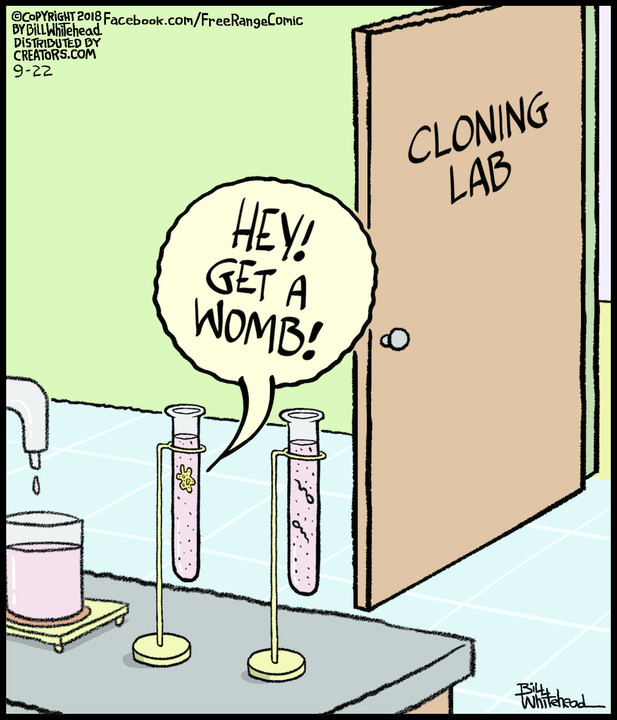 Free Range for Sep 22, 2018, by Bill Whitehead | Creators Syndicate