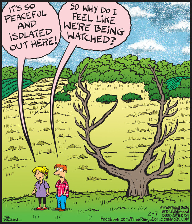 About Bill Whitehead | Creators Syndicate