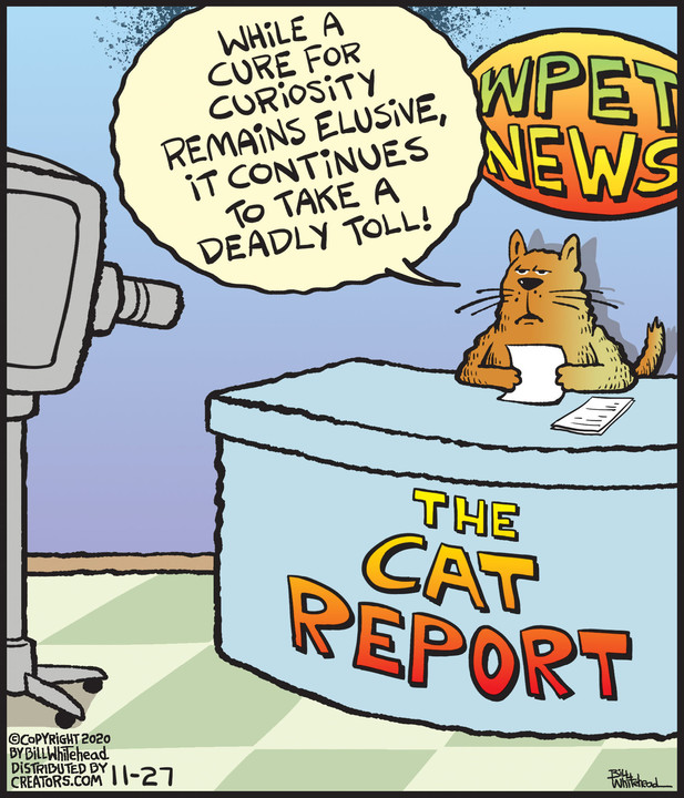 Free Range for Nov 27, 2020, by Bill Whitehead | Creators Syndicate