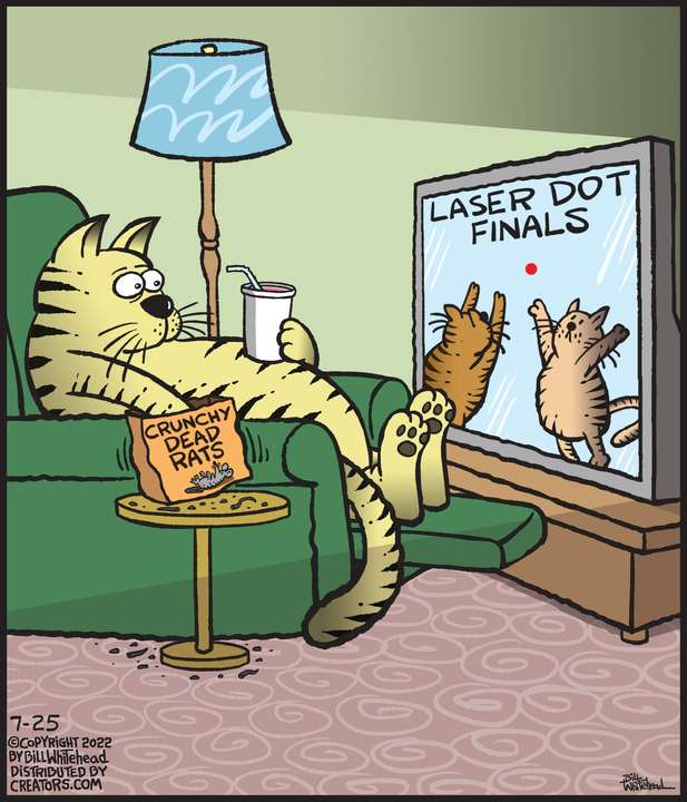 About Bill Whitehead | Creators Syndicate