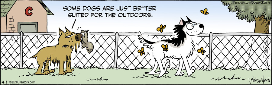 Dogs of C-Kennel for Apr 01, 2021, by Adrian Raeside | Creators Syndicate