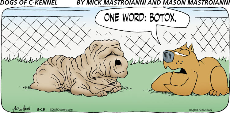 Dogs of C-Kennel for Jun 15, 2025, by Mason Mastroianni, Mick ...