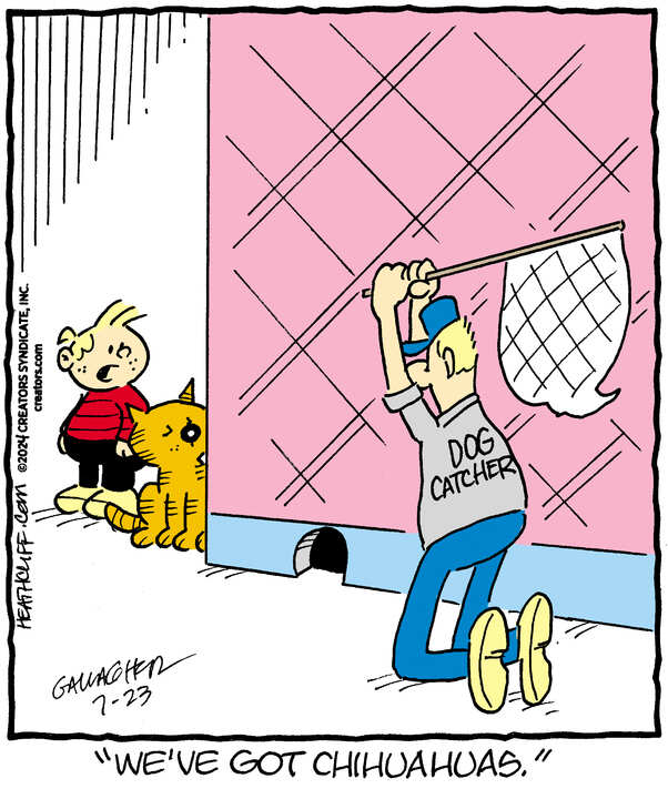 Heathcliff for Jul 23, 2024, by Peter Gallagher | Creators Syndicate