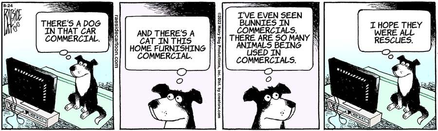 The Other Coast for Aug 24, 2022, by Adrian Raeside | Creators Syndicate