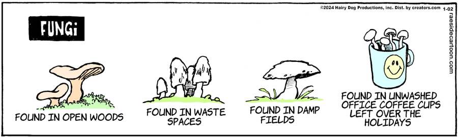 The Other Coast for Jan 02, 2024, by Adrian Raeside | Creators Syndicate