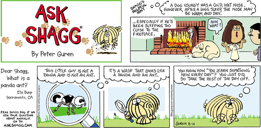 Ask Shagg for Aug 14, 2016, by Peter Guren | Creators Syndicate