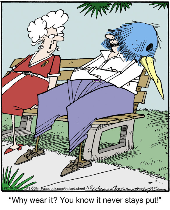 Ballard Street for Jan 02, 2018, by Jerry Van Amerongen | Creators ...