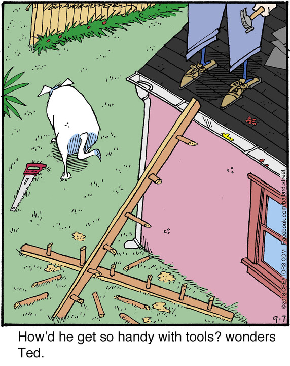 Ballard Street for Sep 07, 2018, by Jerry Van Amerongen | Creators ...